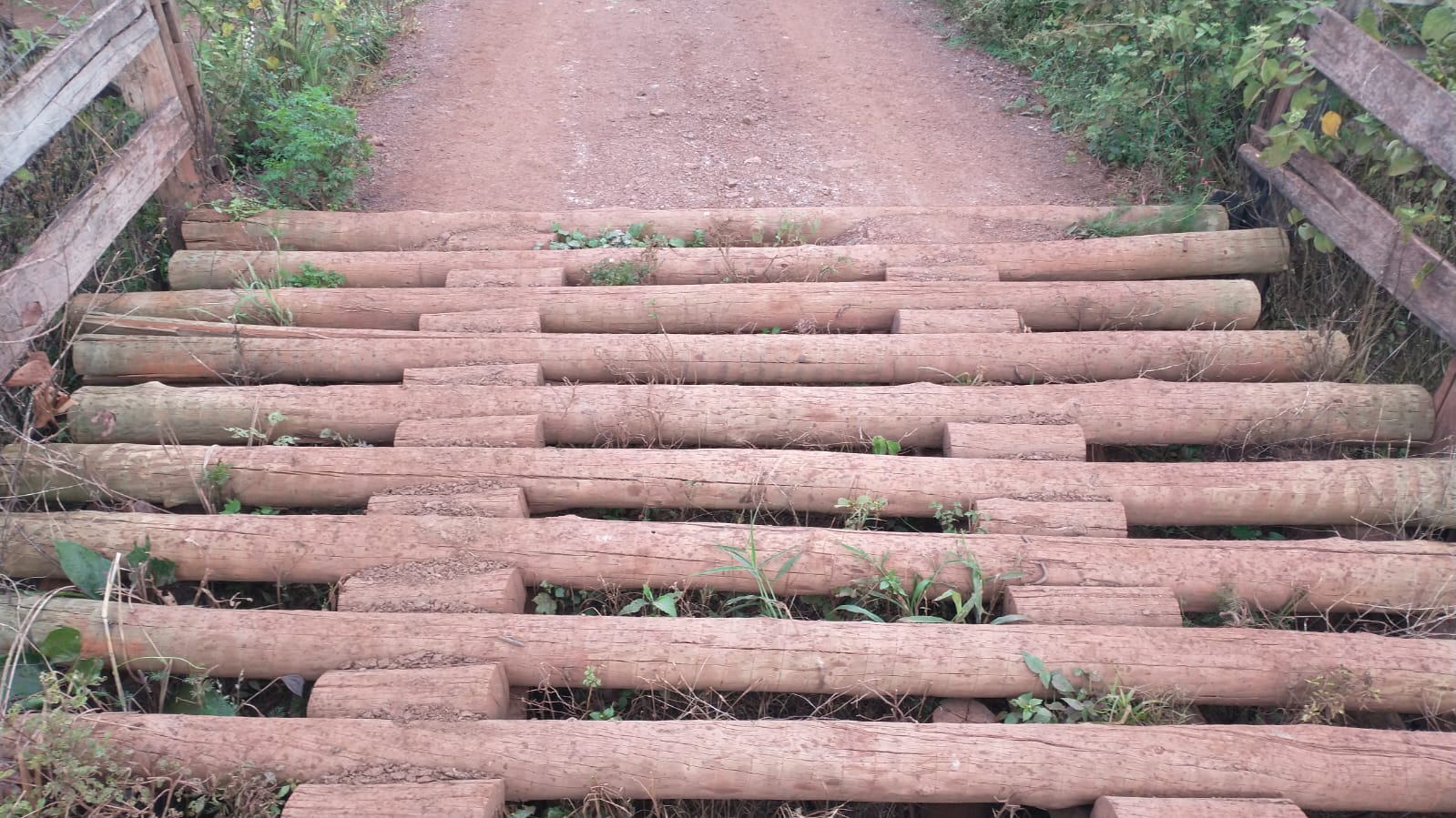 Monte Líbano Agroflorestal – Eucalipto tratado